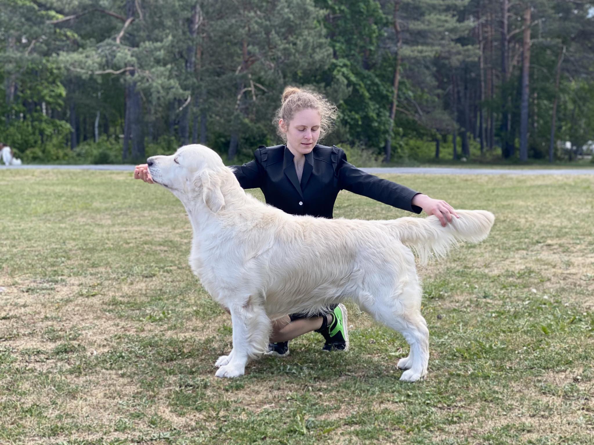 Kennel Tornado Eagles